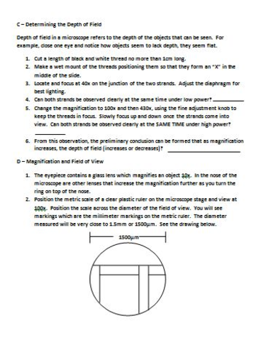 Biology Microscope Measurement Lab | Teaching Resources