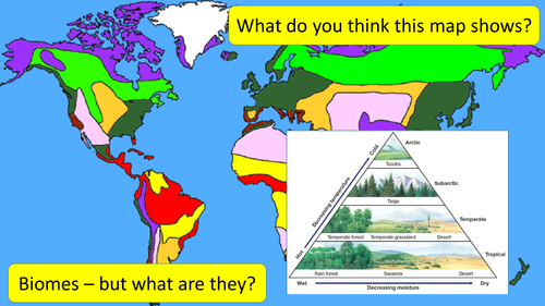 Russia's Biomes by Gemma_since82 - Teaching Resources - TES