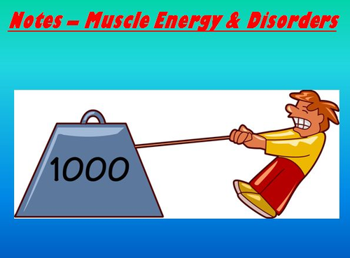 Muscular System Notes - Muscle Energy & Disorders Powerpoint ...