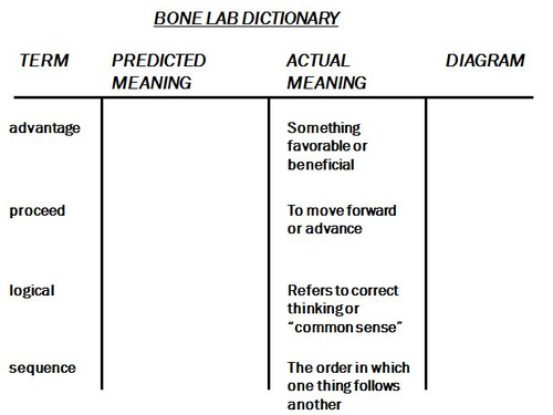 Skeletal System Bone Lab - Anatomy and Physiology | Teaching Resources