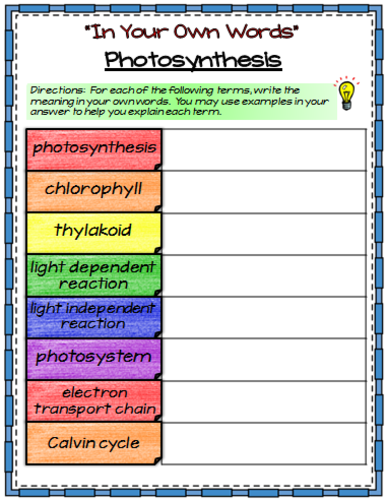 Google Drive Biology Photosynthesis - Cellular Respiration Vocabulary ...