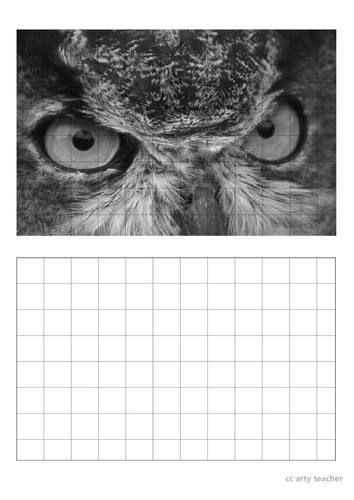 Owl Grid Drawings by scrowther99 - UK Teaching Resources - TES