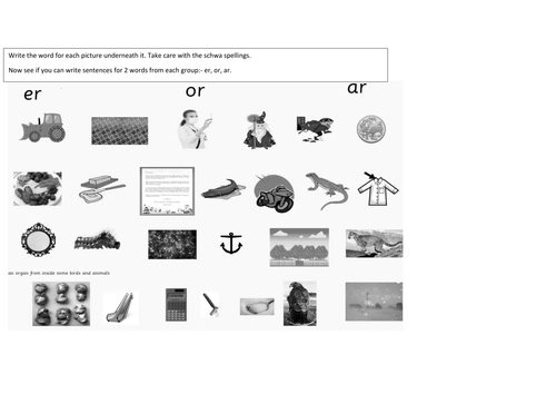 Mixed Schwa Spellings er, or ar. | Teaching Resources