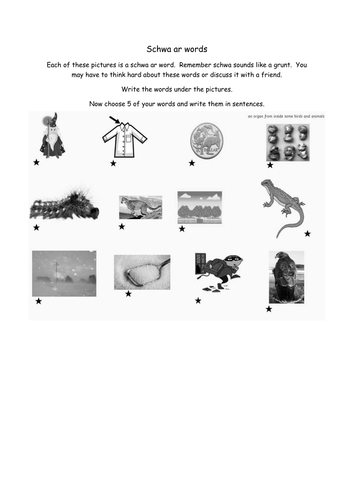 Spelling of Schwa ar Words | Teaching Resources