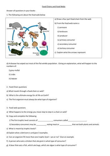Food Chains and Food Webs | Teaching Resources