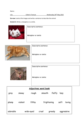Poetry Lesson and worksheets- Ted Hughes- Esther's Tomcat | Teaching ...