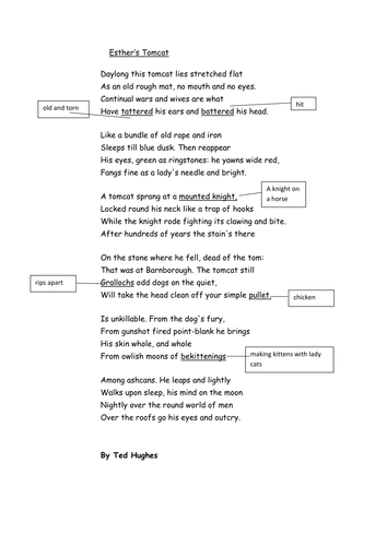 Poetry Lesson and worksheets- Ted Hughes- Esther's Tomcat | Teaching ...