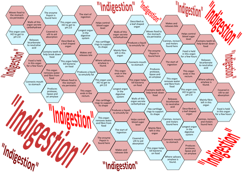"Indigestion" the Digestion board game | Teaching Resources