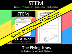 STEM Flight Flying Straw: A Science and Engineering Challenge ...