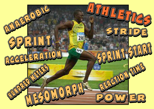 Physical Education Display Board Posters - PE | Teaching Resources