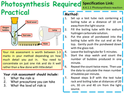 AQA Biology (Science) Photosynthesis Required Practical Lesson ...