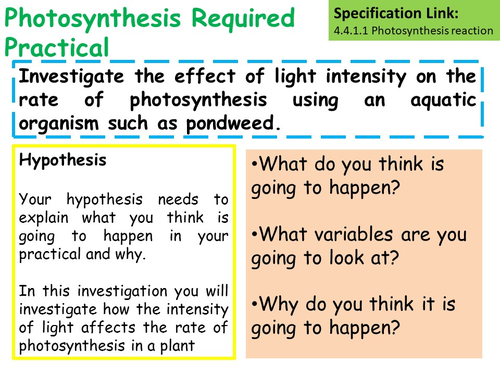 AQA Biology (Science) Photosynthesis Required Practical Lesson ...