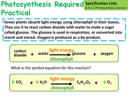 AQA Biology (Science) Photosynthesis Required Practical Lesson ...