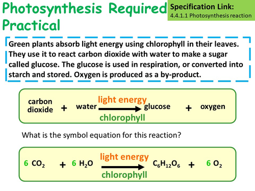 AQA Biology (Science) Photosynthesis Required Practical Lesson ...