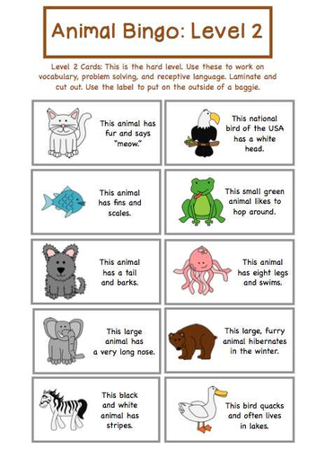 Animal Bingo | Teaching Resources