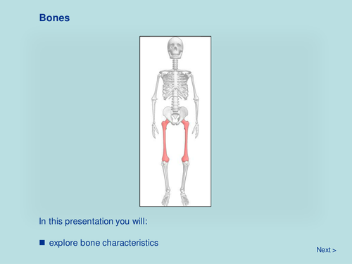 Bones | Teaching Resources