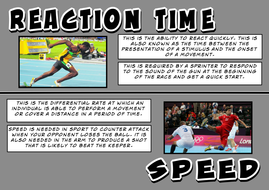 Components of Fitness PE Display Board Posters | Teaching Resources