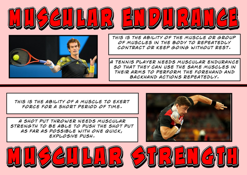 Physical Education Display Board Posters - PE | Teaching Resources