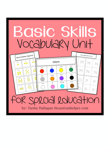 Basic Skills Vocabulary Unit {for Special Education} | Teaching Resources