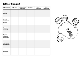 Homework / revision activities for A-level cells and cellular transport ...