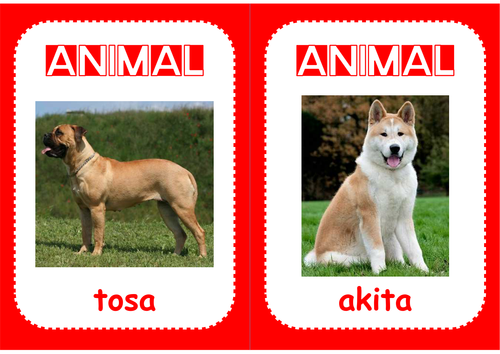 JAPAN RESOURCES AND JAPANESE LANGUAGE , MULTICULTURE AND DIVERSITY AND ...