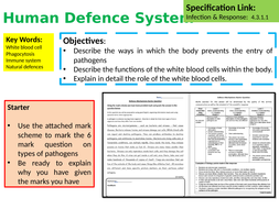 New AQA Biology (Science) Human Defence Systems Lesson | Teaching Resources