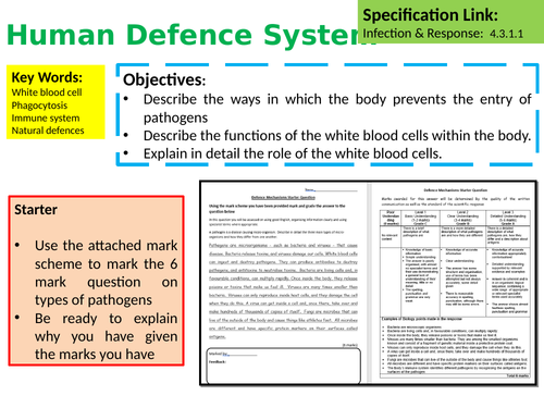 New AQA Biology (Science) Human Defence Systems Lesson | Teaching Resources