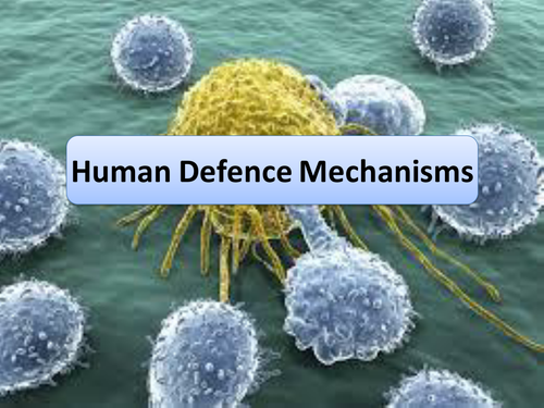 New AQA Biology Human Defense Systems Lesson by chalky1234567 ...