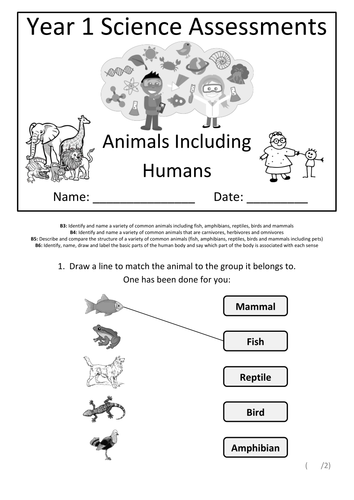 Year 1 Science Assessment: Animals, Including Humans | Teaching Resources
