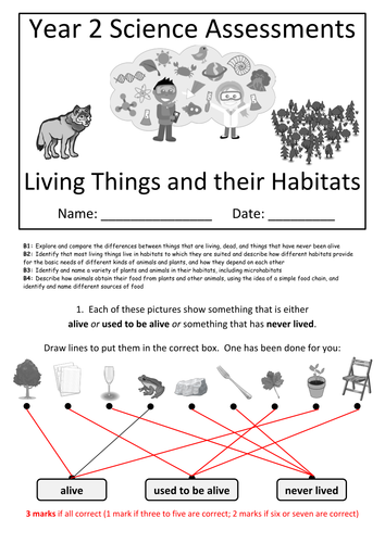 Year 2 Science Assessment: Living Things and Their Habitats | Teaching ...