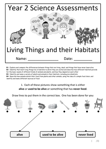 Year 2 Science Assessment: Living Things and Their Habitats | Teaching ...