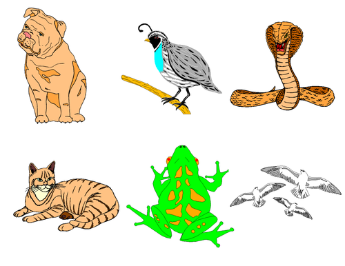 Animals Clip Art Mega Bundle 3 - Farm Animals, Wild Animals, Forest ...