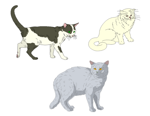Cat Clip Art | Teaching Resources