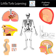 Anatomy Clip Art | Teaching Resources