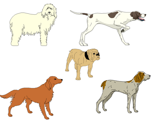 Dog Clip Art | Teaching Resources