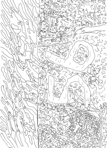 Coastal Defences: Geography: Protecting an Island | Teaching Resources