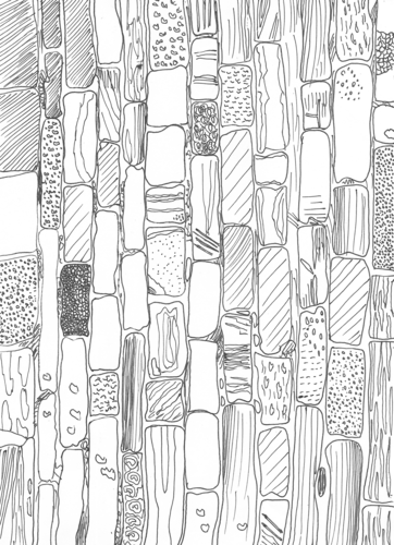 Coastal Defences: Geography | Teaching Resources