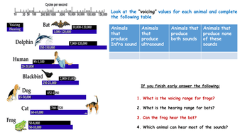 sound frequency range | Teaching Resources