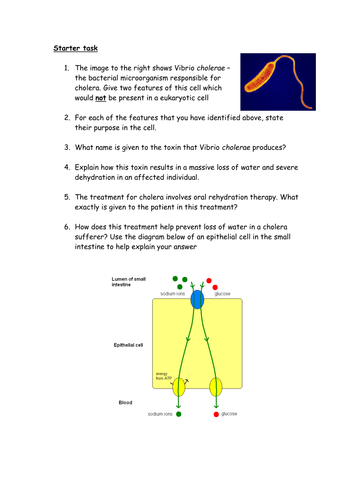 Cholera - causes, mechanism and treatment | Teaching Resources
