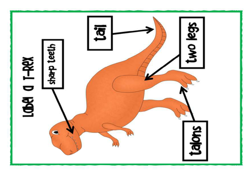 HARRY & THE DINOSAURS AT THE MUSEUM STORY -EYFS KS1 ENGLISH SCIENCE ...