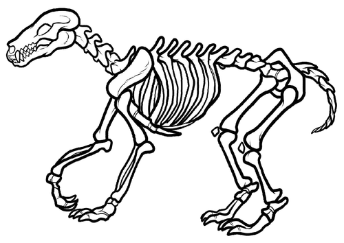 HARRY & THE DINOSAURS AT THE MUSEUM STORY -EYFS KS1 ENGLISH SCIENCE ...