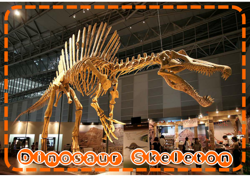 HARRY & THE DINOSAURS AT THE MUSEUM STORY -EYFS KS1 ENGLISH SCIENCE ...