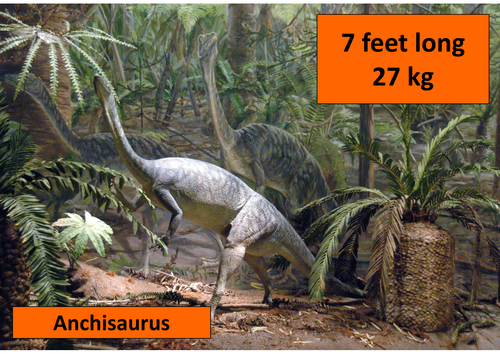 HARRY & THE DINOSAURS AT THE MUSEUM STORY -EYFS KS1 ENGLISH SCIENCE ...