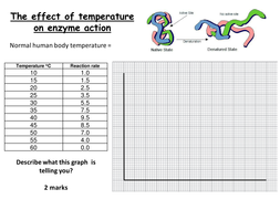 Factors affecting Enzyme Action | Teaching Resources