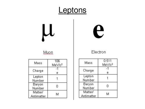A-Level Physics - Quarks and Leptons (Plus matter and radiation FREE) | Teaching Resources