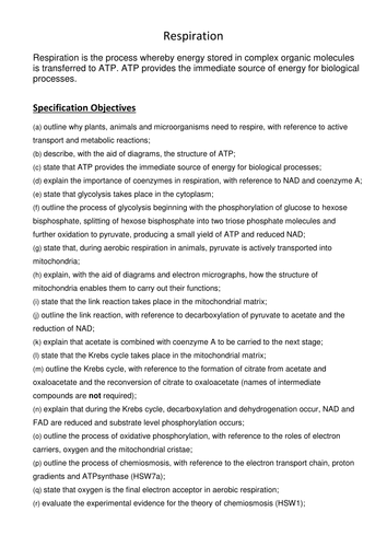 A-Level Biology: Respiration- complete set of lessons | Teaching Resources