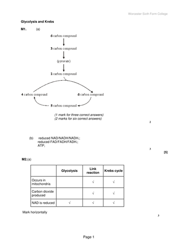 A-Level Biology: Respiration- complete set of lessons | Teaching Resources