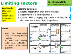 KS4 AQA Biology (Science) Limiting Factors of Photosynthesis Lesson ...