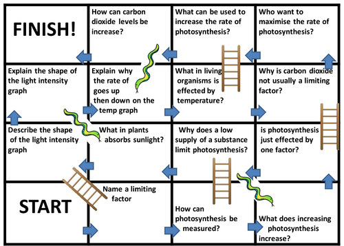 KS4 AQA Biology (Science) Limiting Factors of Photosynthesis Lesson ...