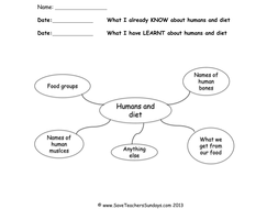 Carnivores, Omnivores and Herbivores KS2 Lesson Plan, Venn Diagram and ...